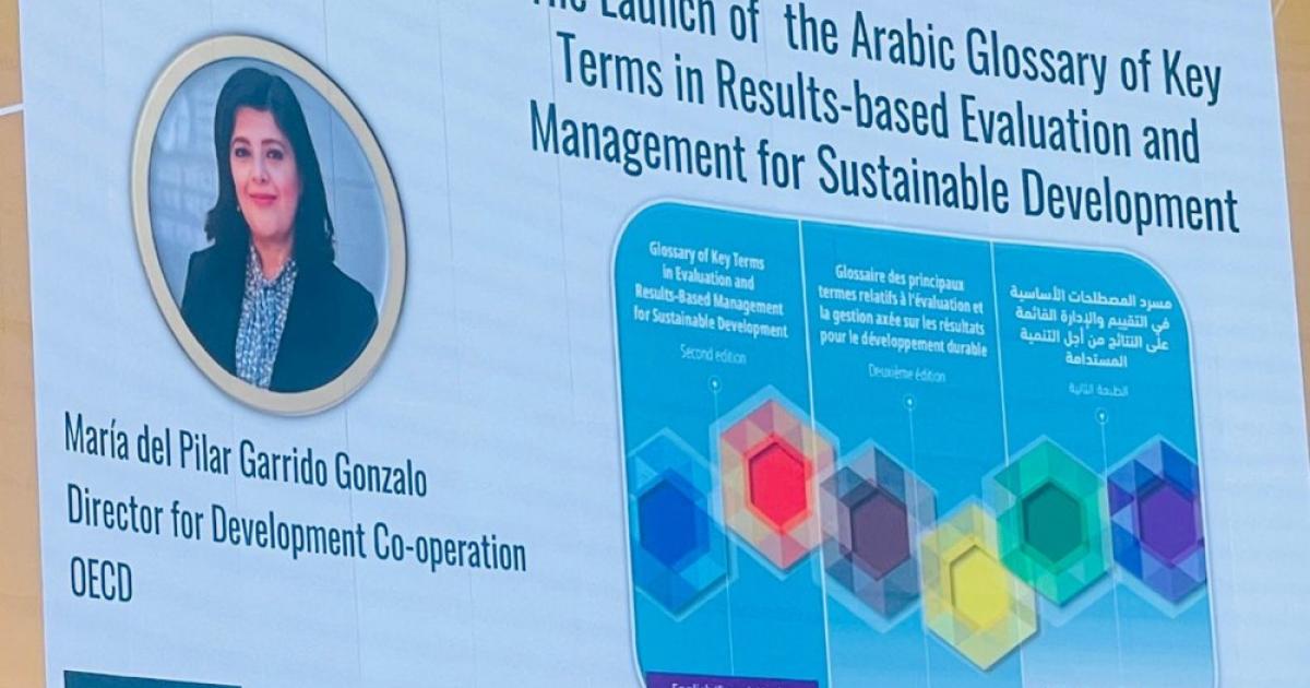 Glossary of Key Terms in Evaluation and Results-Based Management for Sustainable Development ...